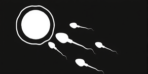 How To Boost Sperm Count Naturally: Daily Habits, Diet & More – Dame Health